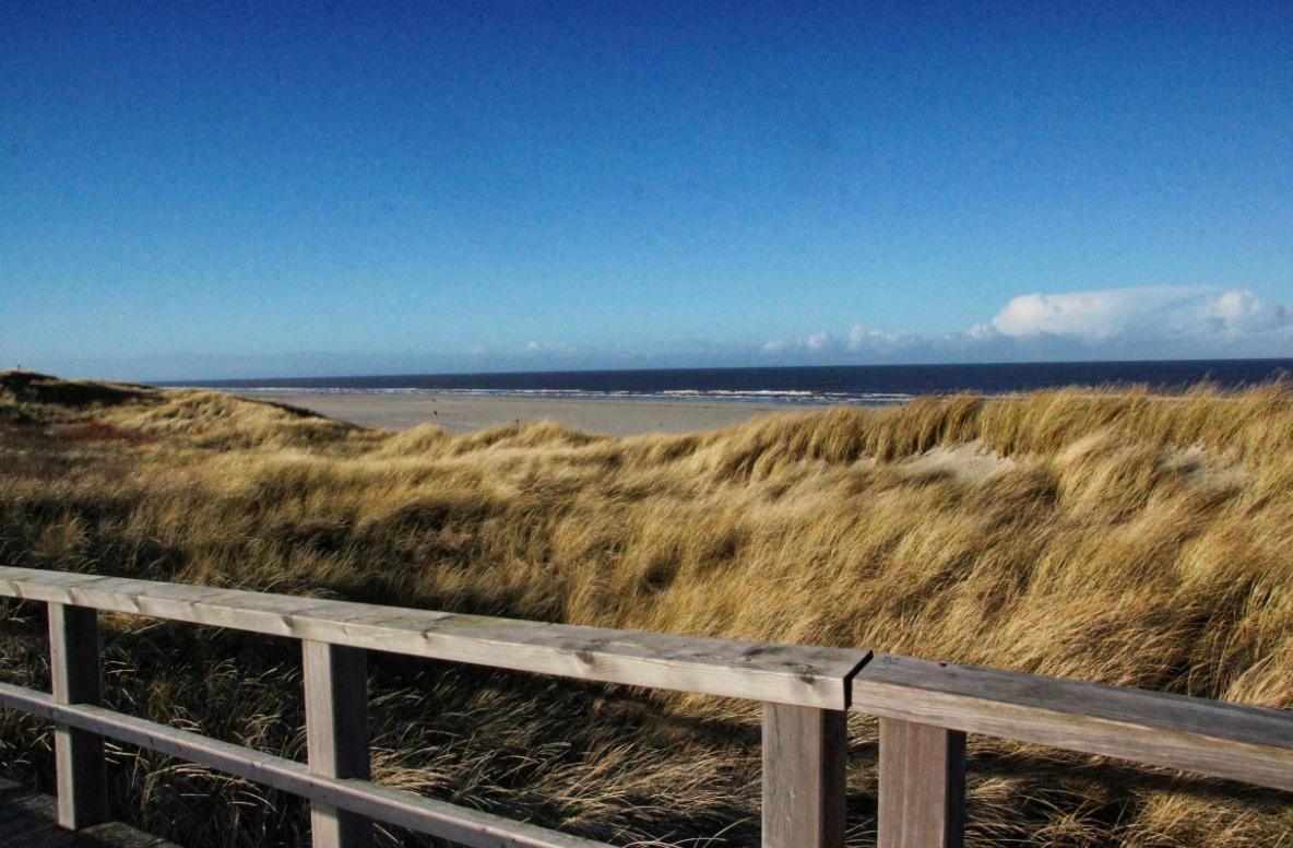 Die Insel Juist und ihre Souvenirs | Lilies Diary | Der alltägliche ...