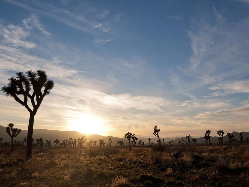 Die schönsten Orte unserer Leser